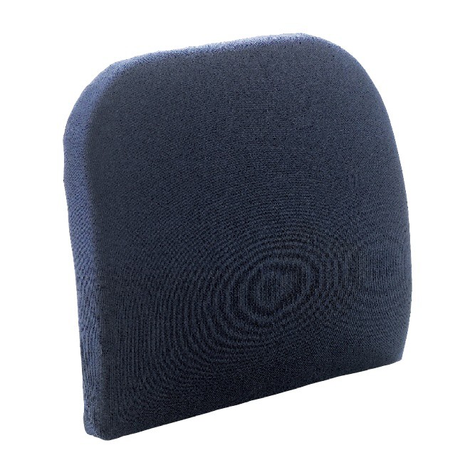 The Best Lumbar Supports in the Philippines for 2024 - Pain Free Working